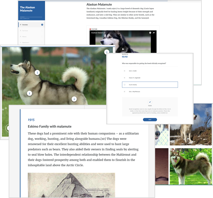 Articulate Rise Full Responsive Authoring