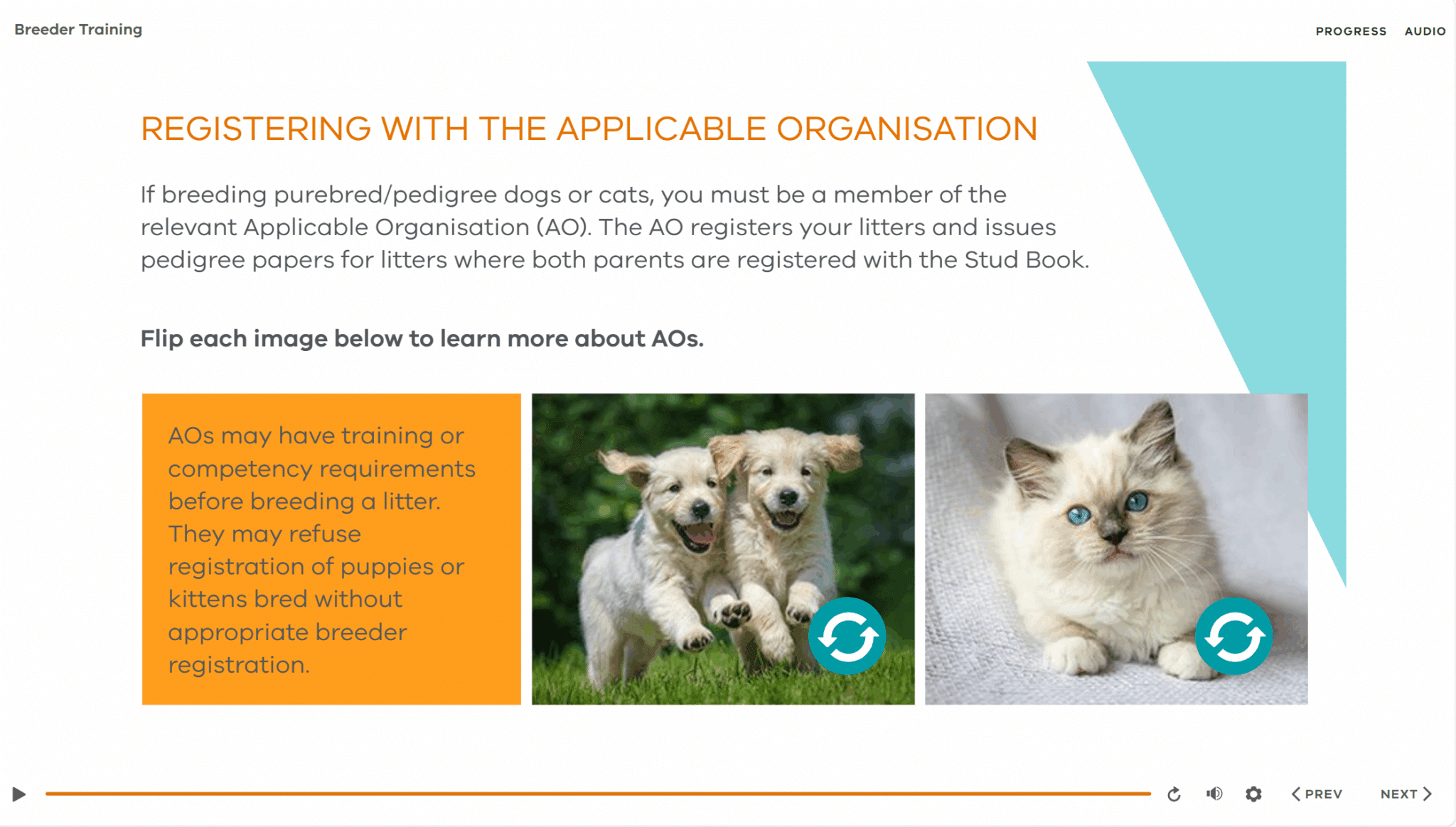 How Template Driven eLearning Transforms Volume Production