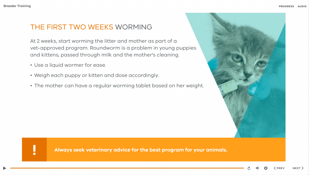 How Template Driven eLearning Transforms Volume Production